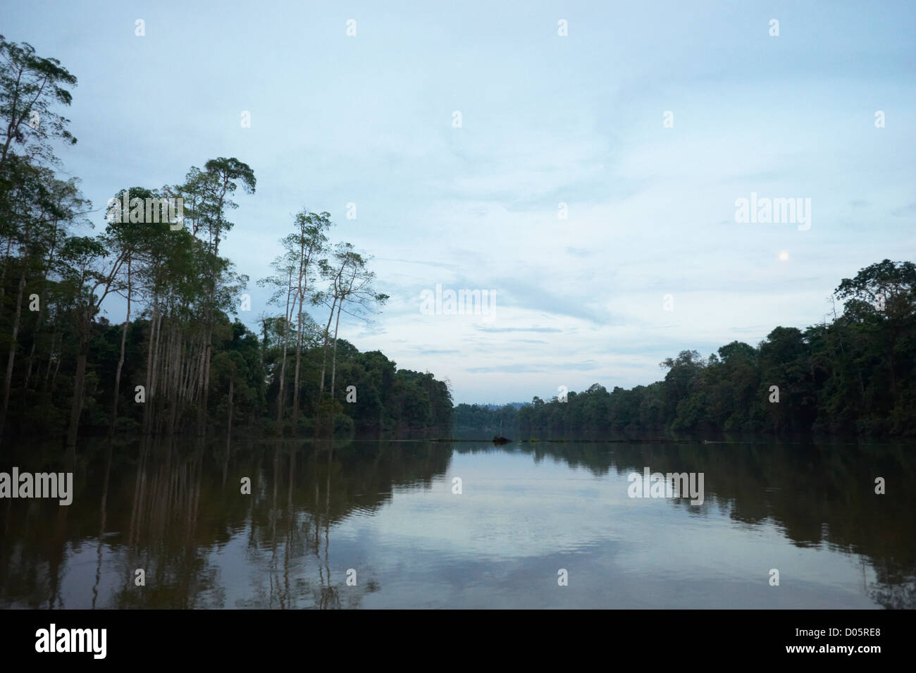 Kinabatangan River, Sabah, Borneo Stock Photo - Alamy