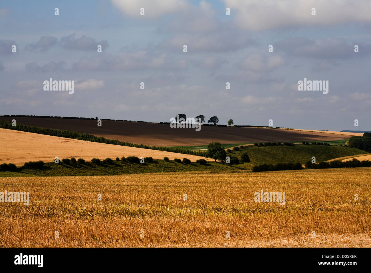 Huggate yorkshire hi-res stock photography and images - Alamy