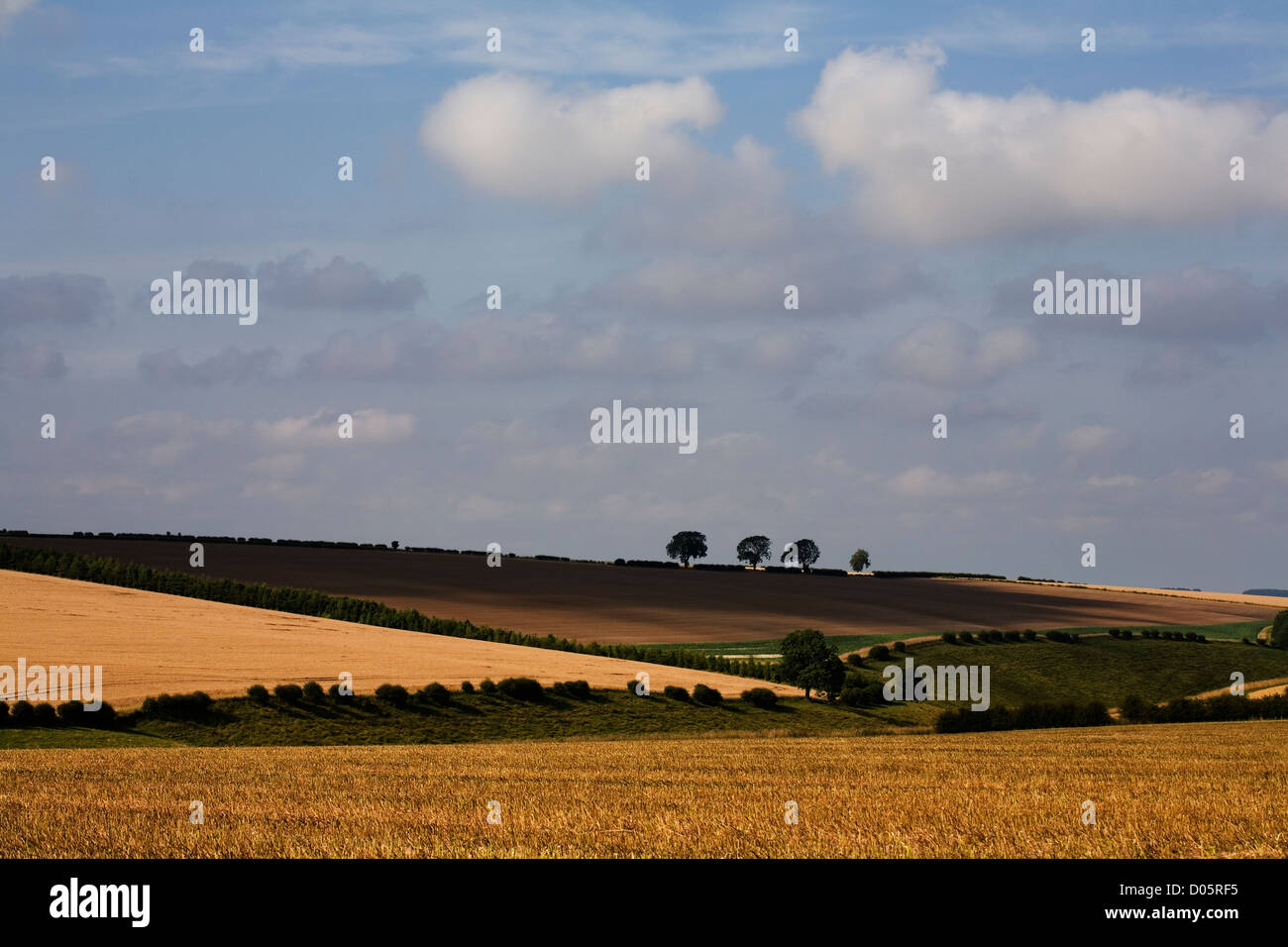 Huggate hi-res stock photography and images - Alamy