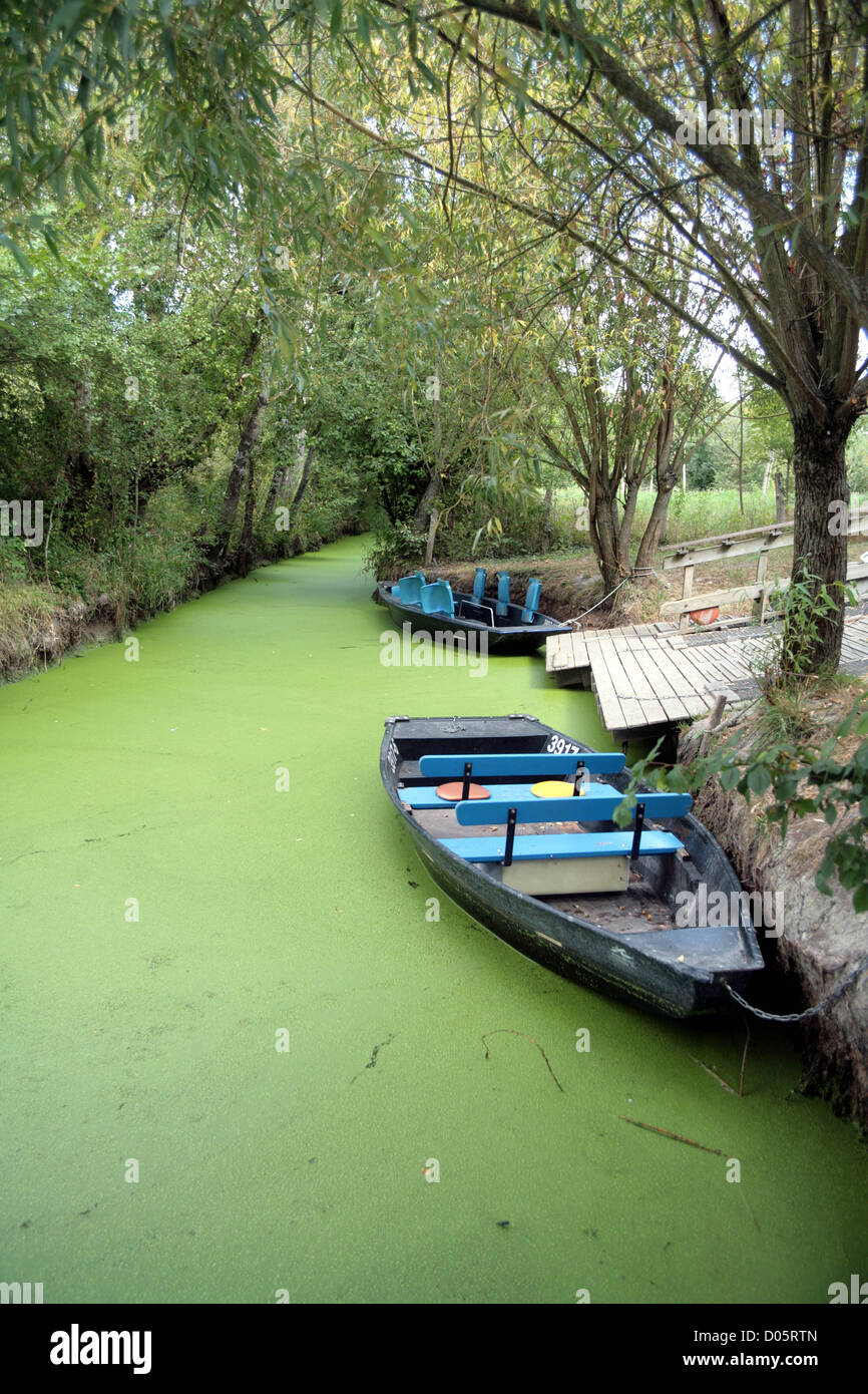 Boats on the river,Marais Poitevin France Stock Photo - Alamy