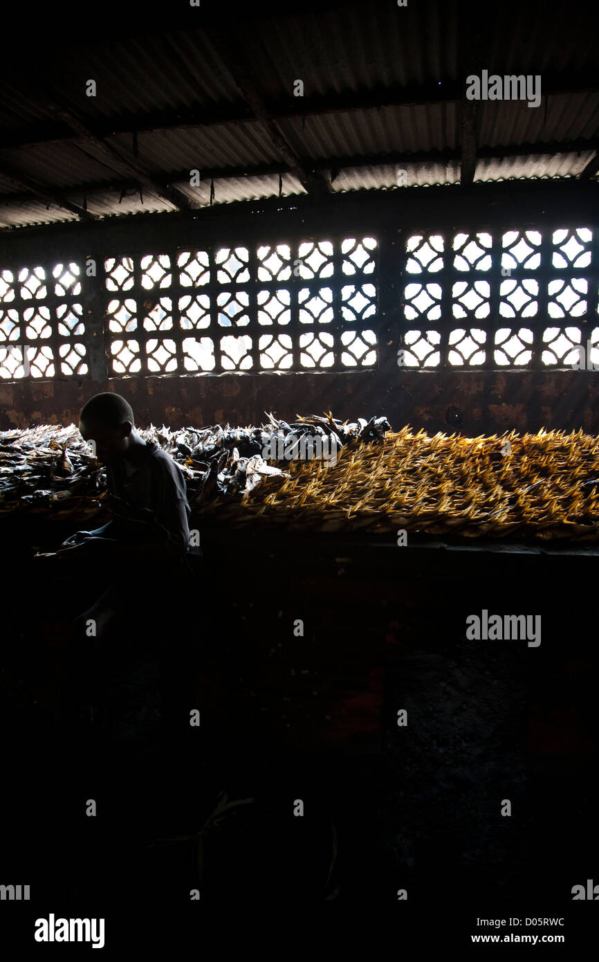 Fish Smoking hut in The Gambia Stock Photo - Alamy
