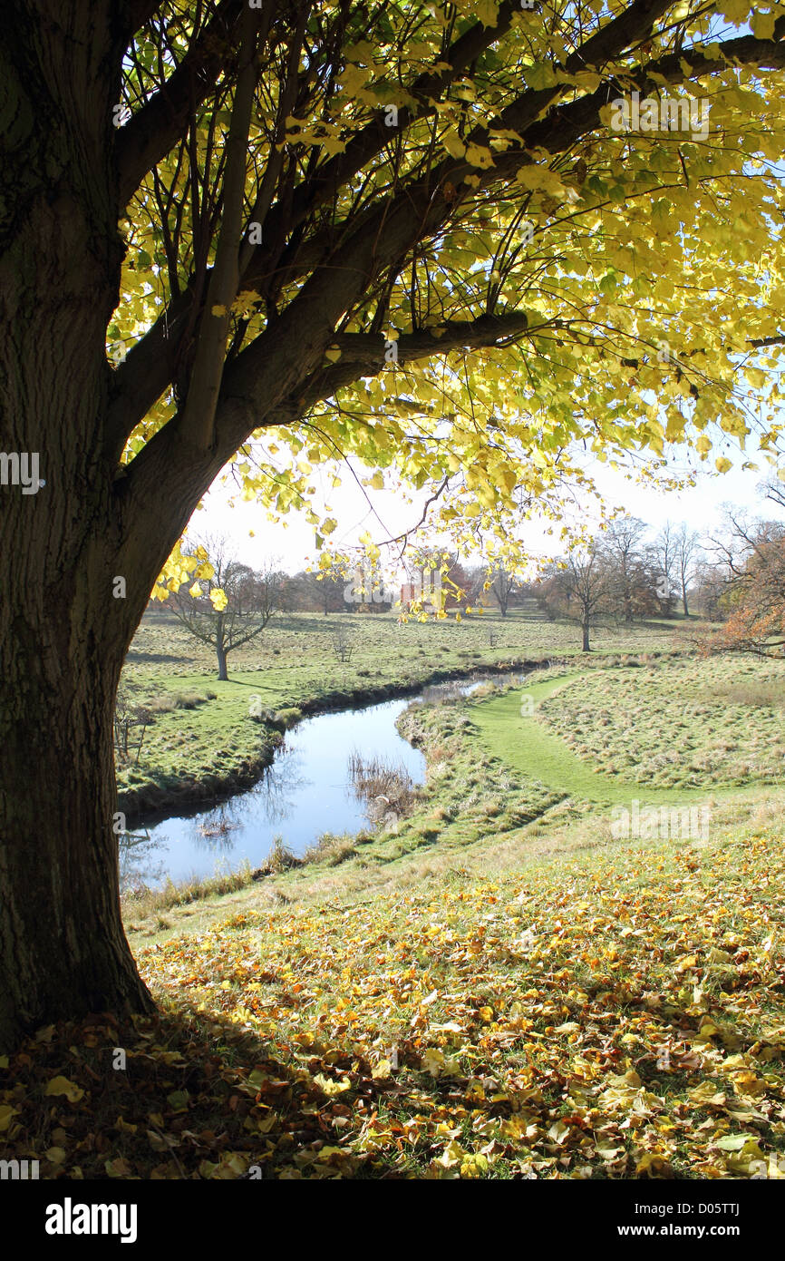 Autumn tree with meandering river behind Stock Photo - Alamy