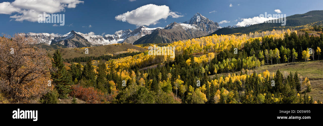Colorado spruces hi-res stock photography and images - Alamy