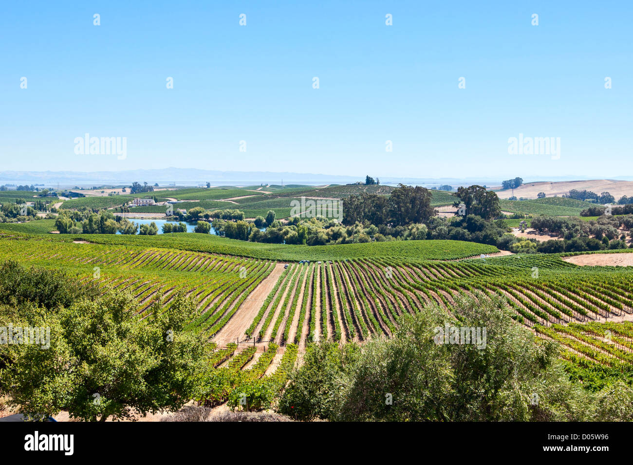 Artesa winery hi-res stock photography and images - Alamy