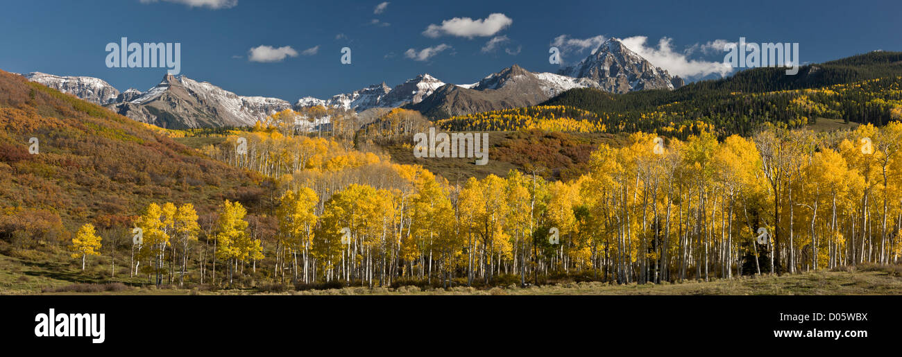 Panorama of Aspen and Spruce forests in autumn, Uncompaghre Wilderness ...