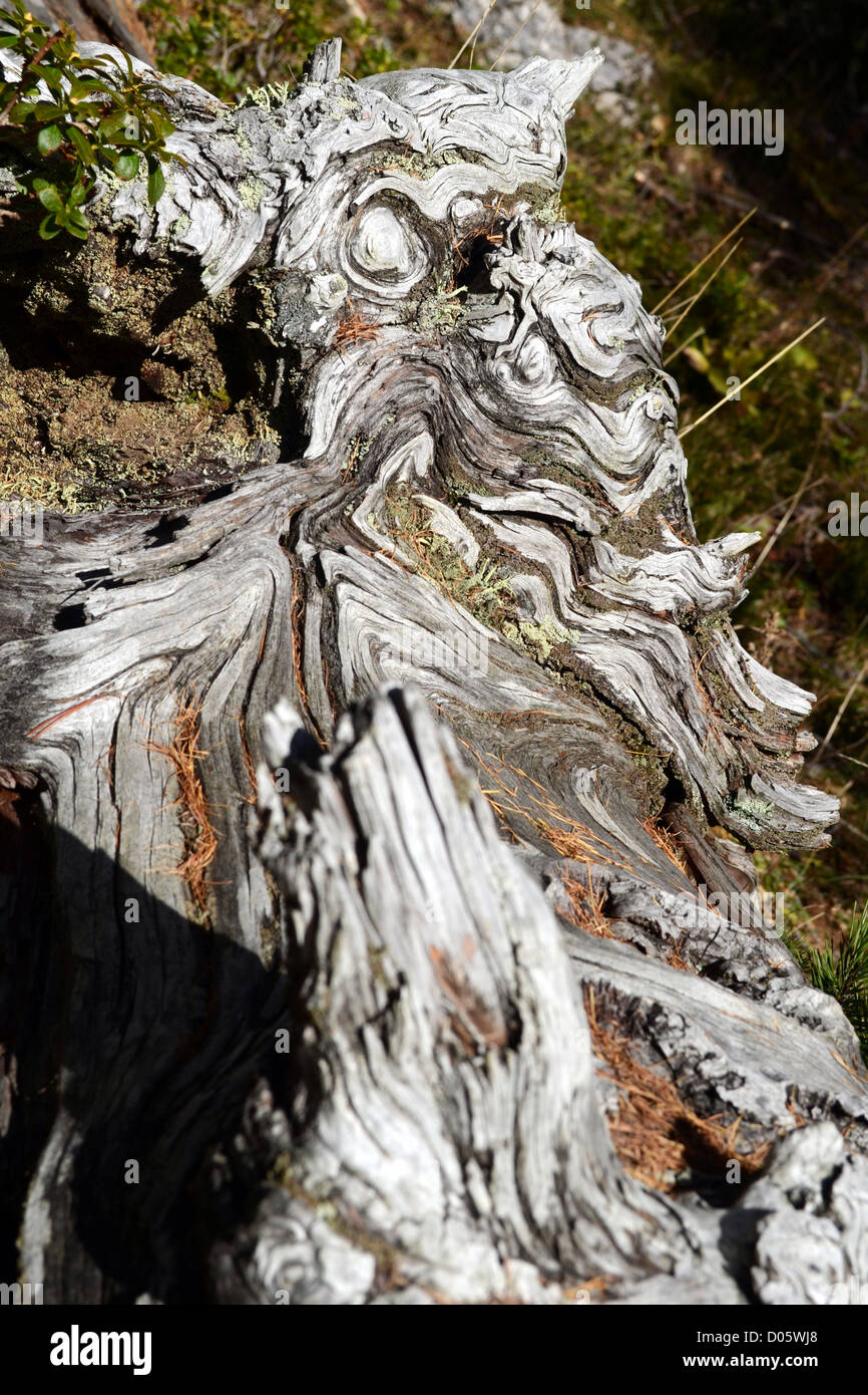 Nature shapes hi-res stock photography and images - Alamy