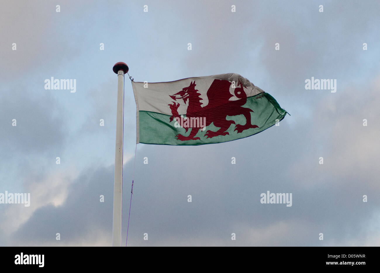Welsh flag flying against dramatic sky Stock Photo - Alamy