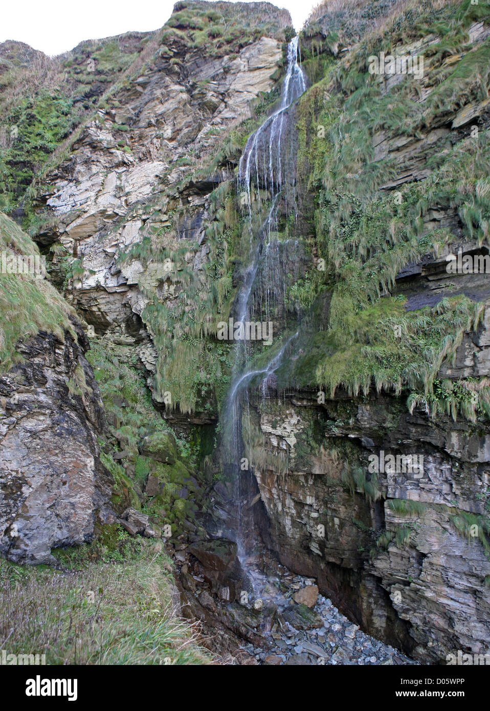 Bossiney cliffs hi-res stock photography and images - Alamy