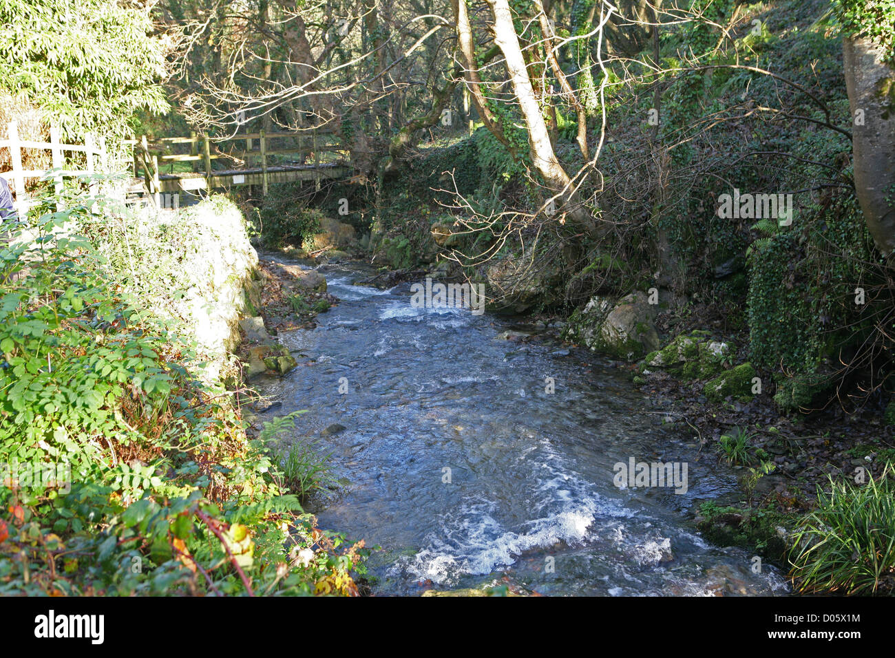 Rocky Valley near Bossiney Tintagel Cornwall England Stock Photo - Alamy