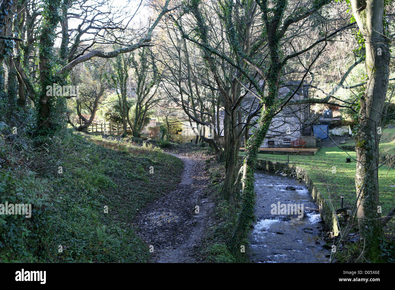 Rocky Valley near Bossiney Tintagel Cornwall England Stock Photo - Alamy
