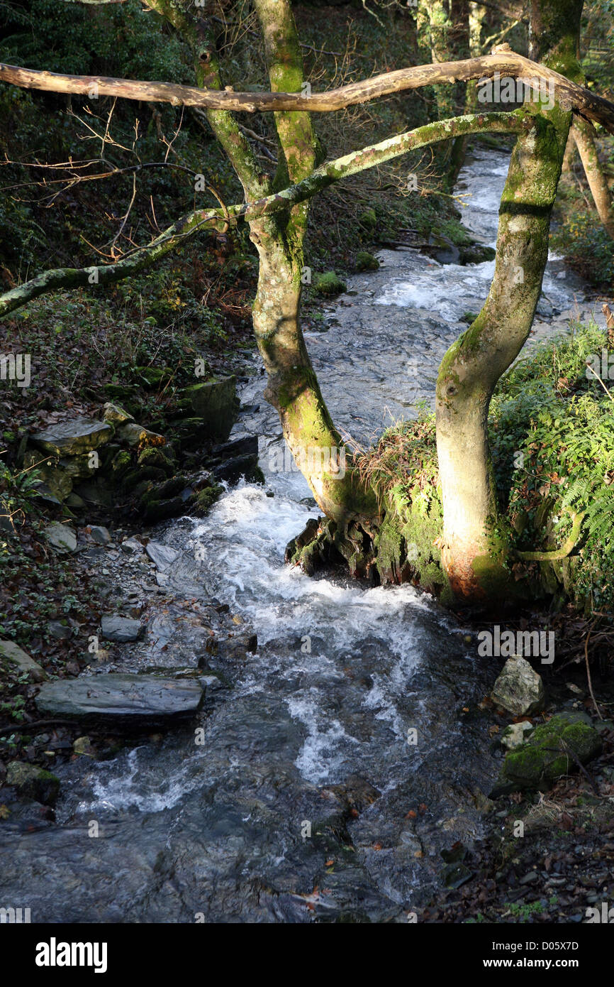 Rocky valley labyrinths hi-res stock photography and images - Alamy