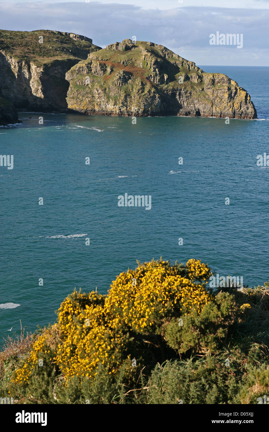 Bossiney beach hi-res stock photography and images - Alamy