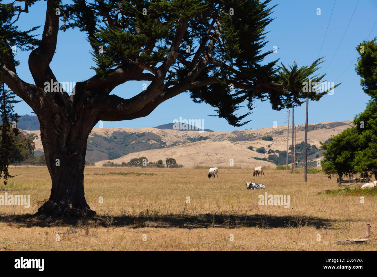 Coastal ranch hi-res stock photography and images - Alamy