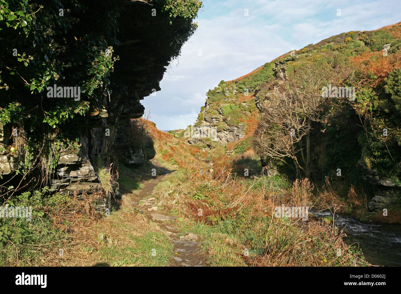 Boscastle coast path walk hi-res stock photography and images - Alamy