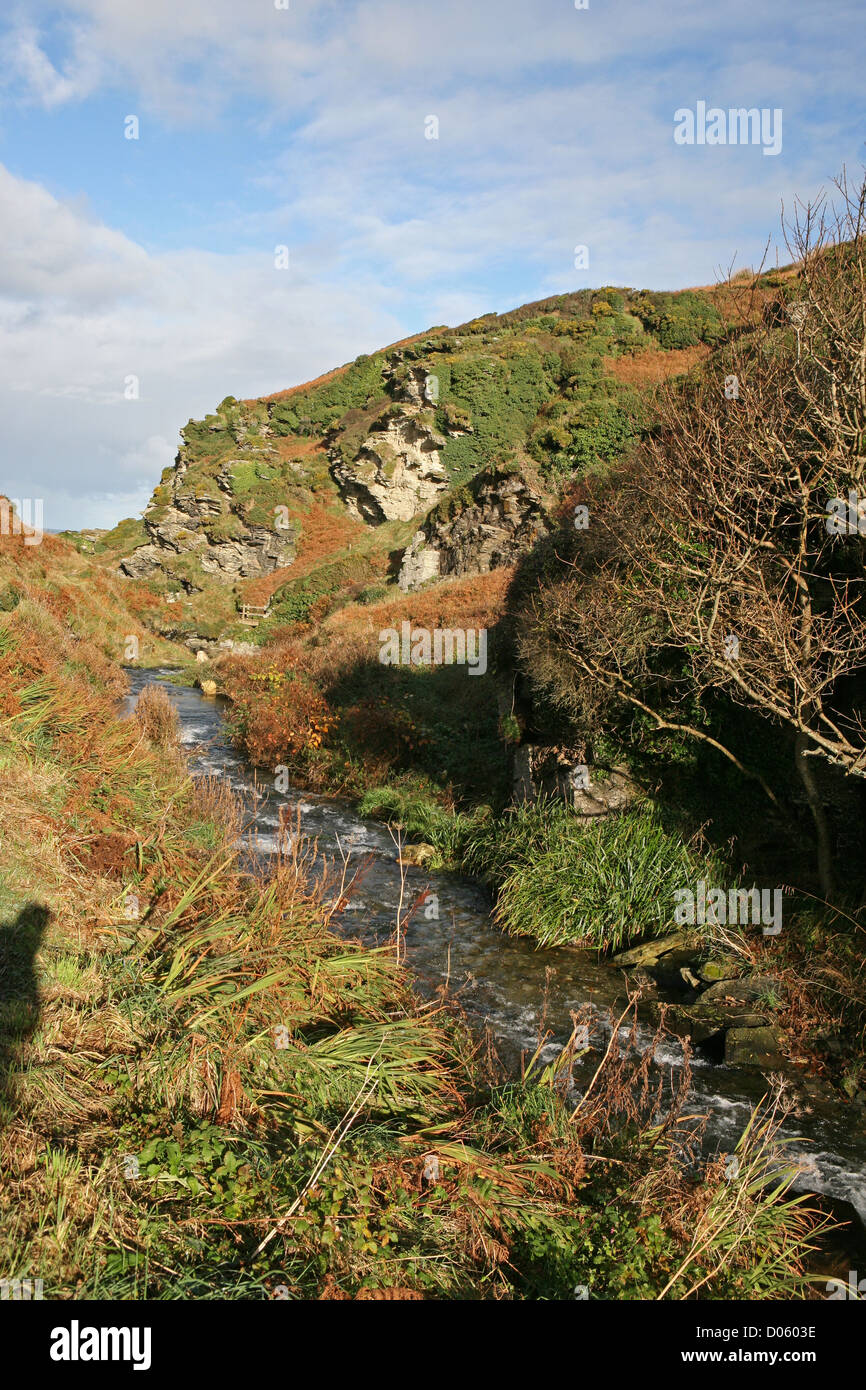 Rocky Valley near Bossiney Tintagel Cornwall England Stock Photo - Alamy