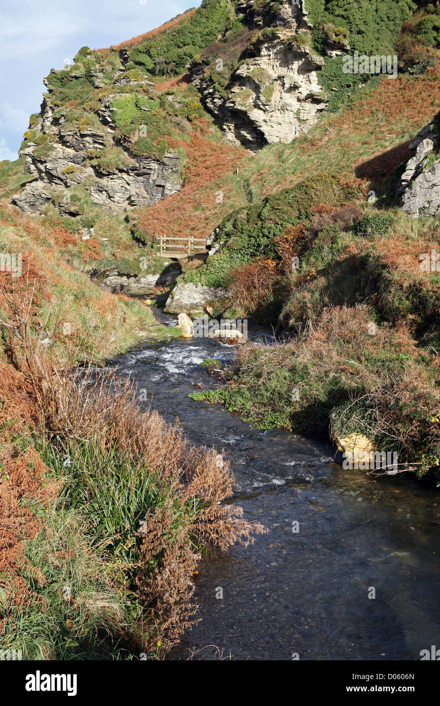 Boscastle coast path walk hi-res stock photography and images - Alamy