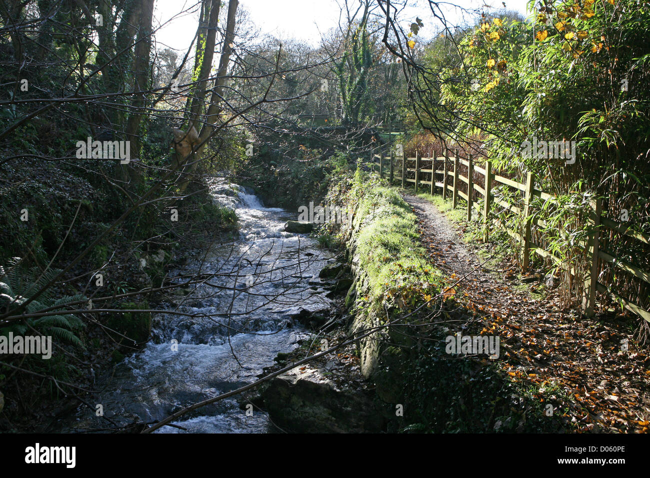 Rocky Valley near Bossiney Tintagel Cornwall England Stock Photo - Alamy