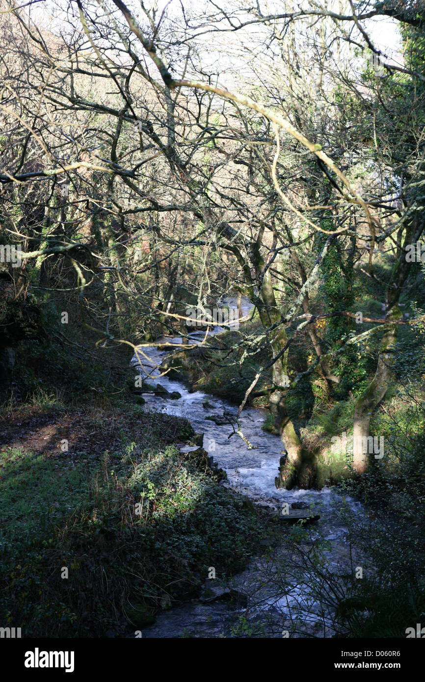 Rocky Valley near Bossiney Tintagel Cornwall England Stock Photo - Alamy