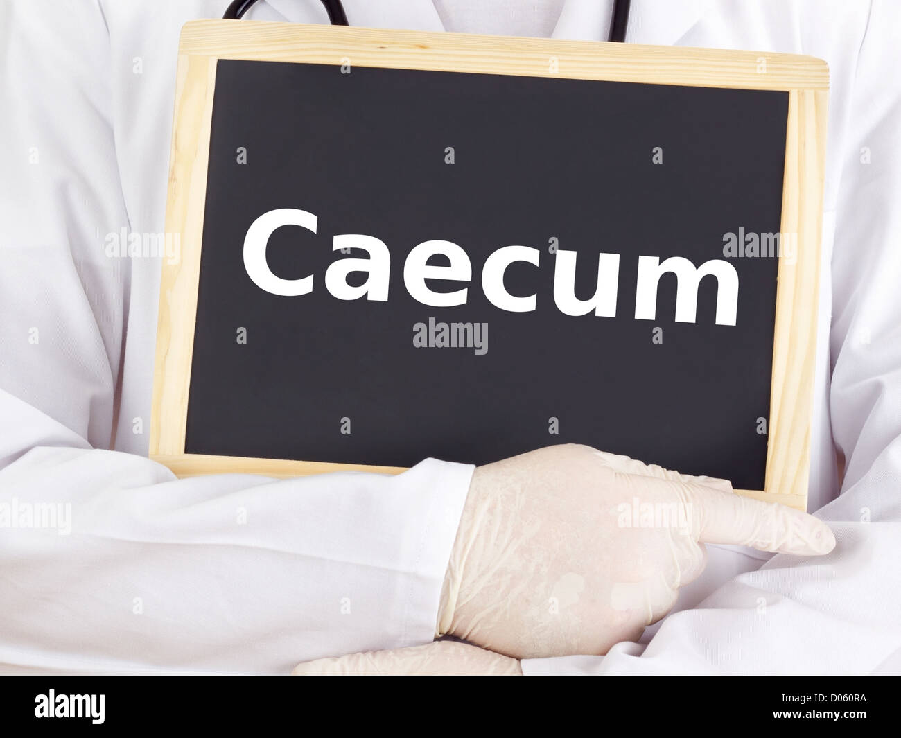 Doctor shows information on blackboard: caecum Stock Photo - Alamy