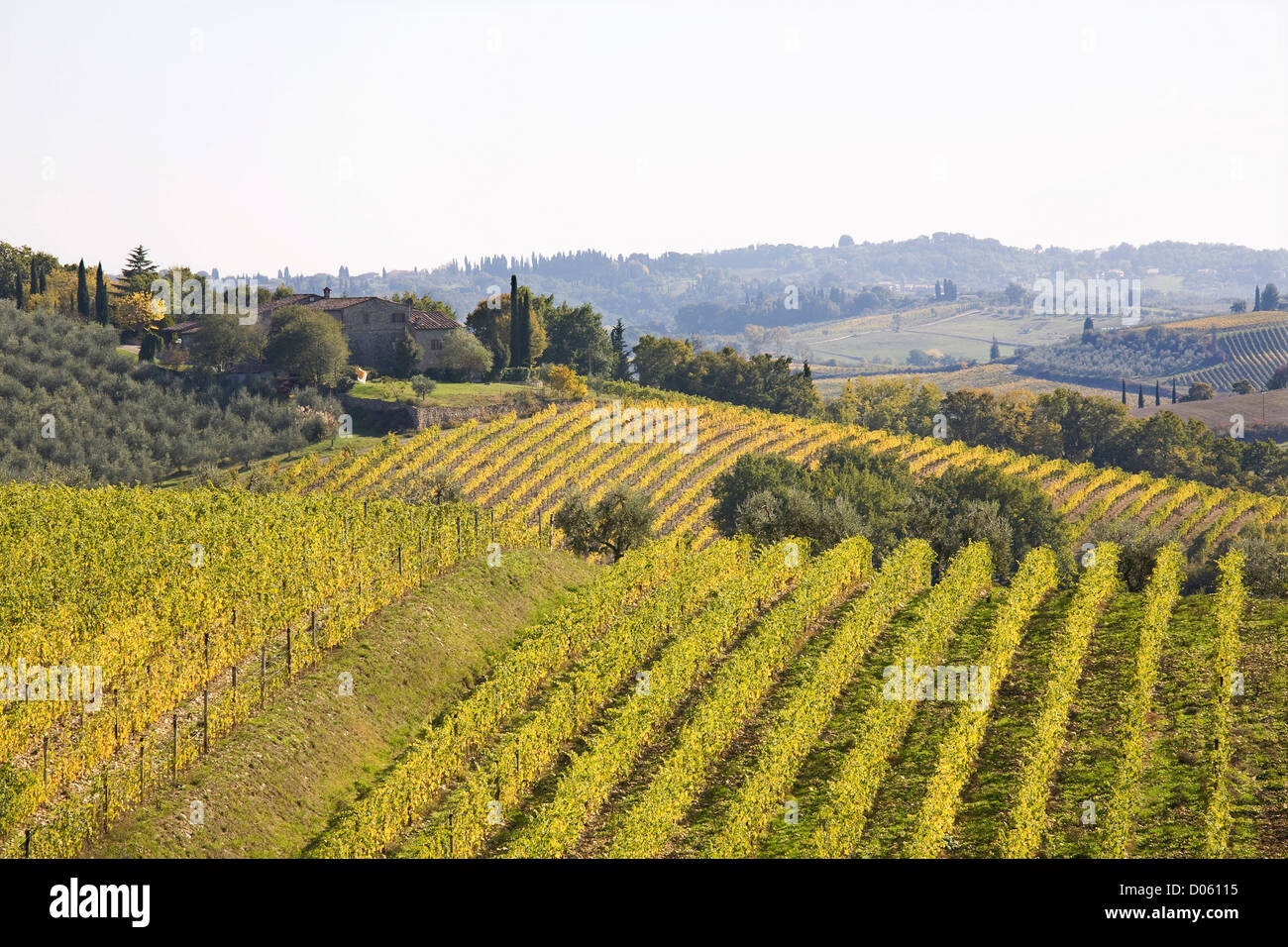 europe, italy, tuscany, chianti, vineyards Stock Photo - Alamy