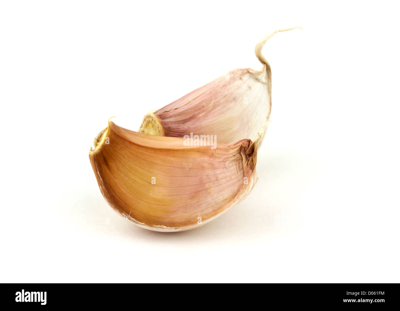 Two fresh garlic cloves isolated on white background Stock Photo - Alamy