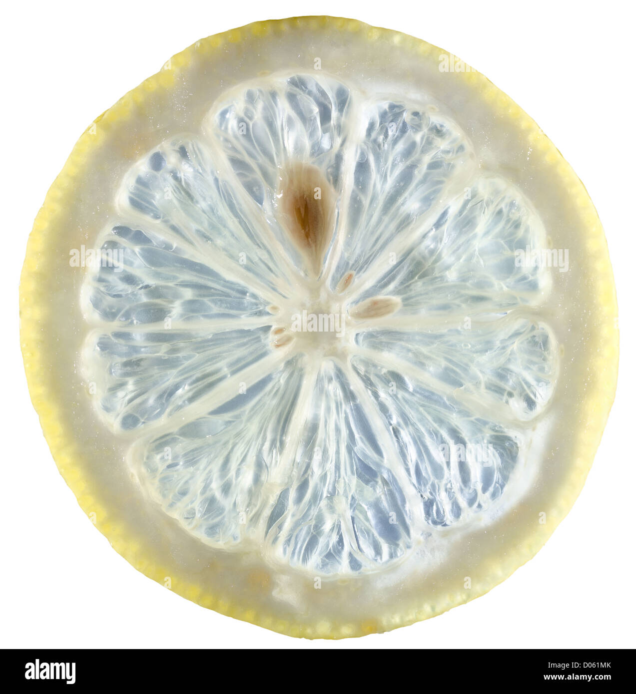 lemon fruit section slice slices isolated on white background Stock ...