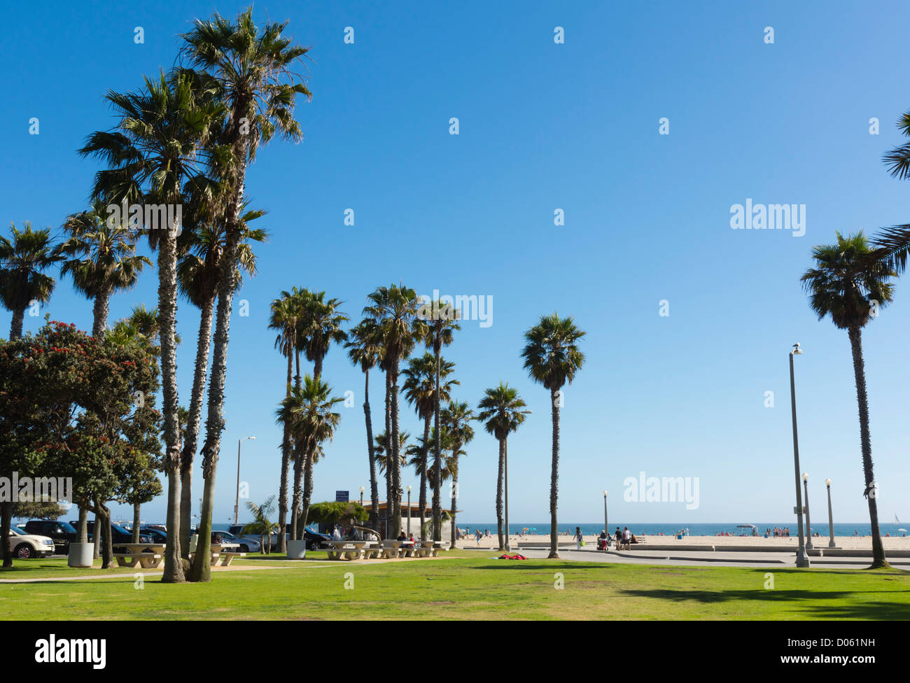 Santa Monica, Los Angeles oceanside resort - Shore park, with palms ...