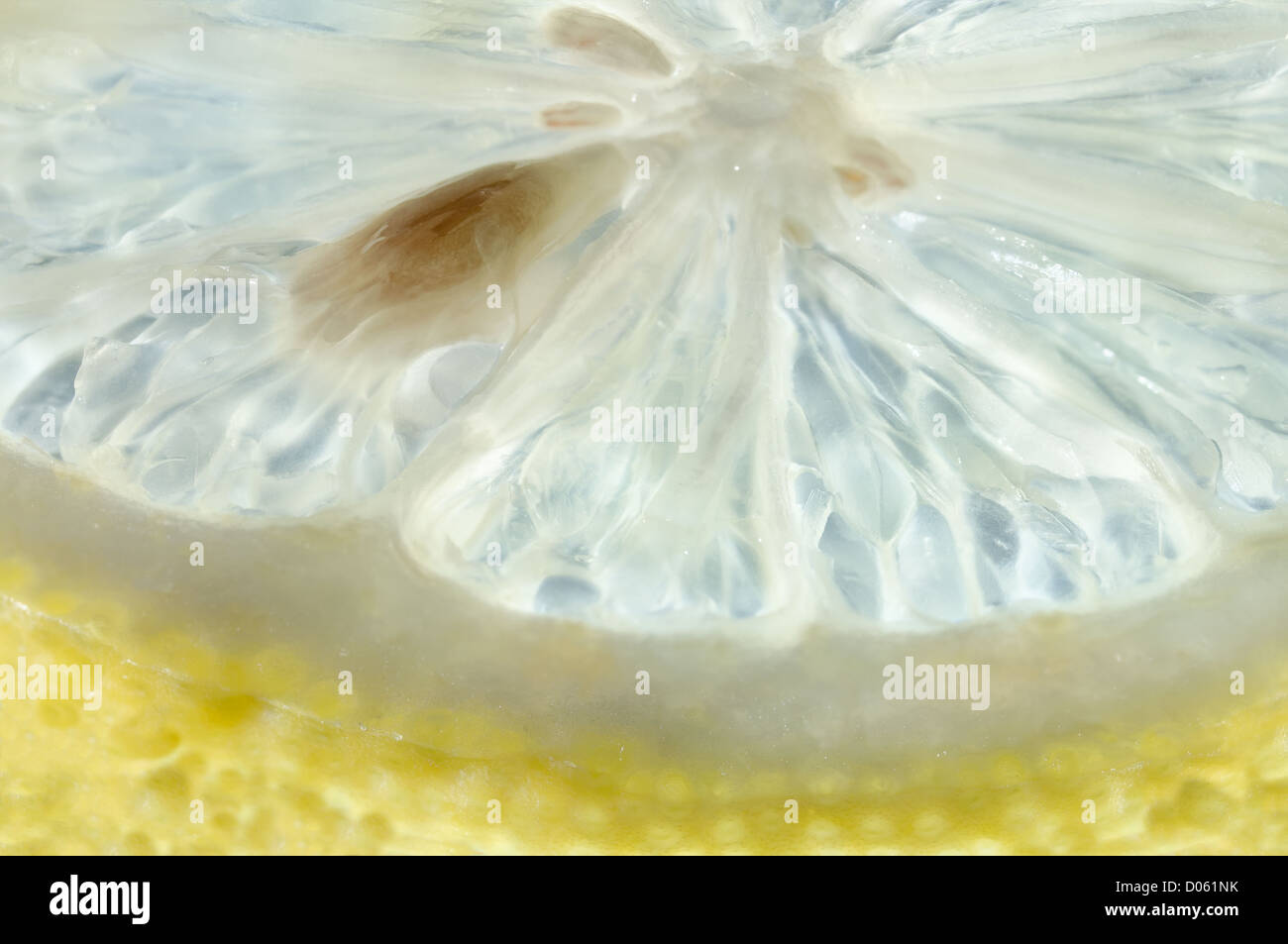 lemon fruit section slice slices isolated on dark background Stock ...