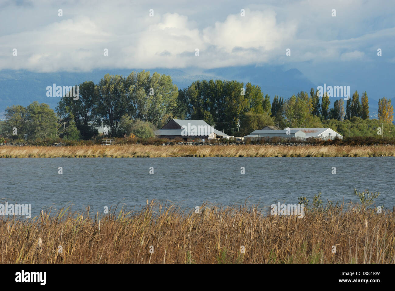 Agricultural land along the Fraser River. Ladner British Columbia Stock ...