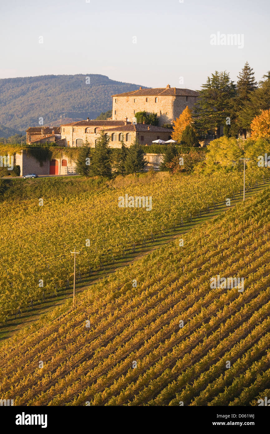Castagnoli hi-res stock photography and images - Alamy