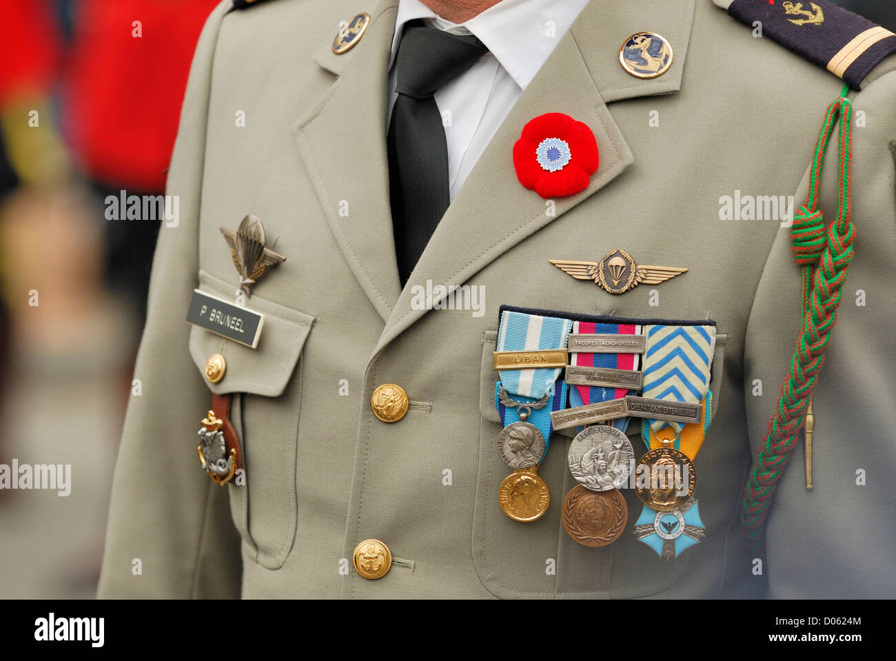 Canadian Veteran at a Canadian Remembrance Day Ceremony Stock Photo - Alamy