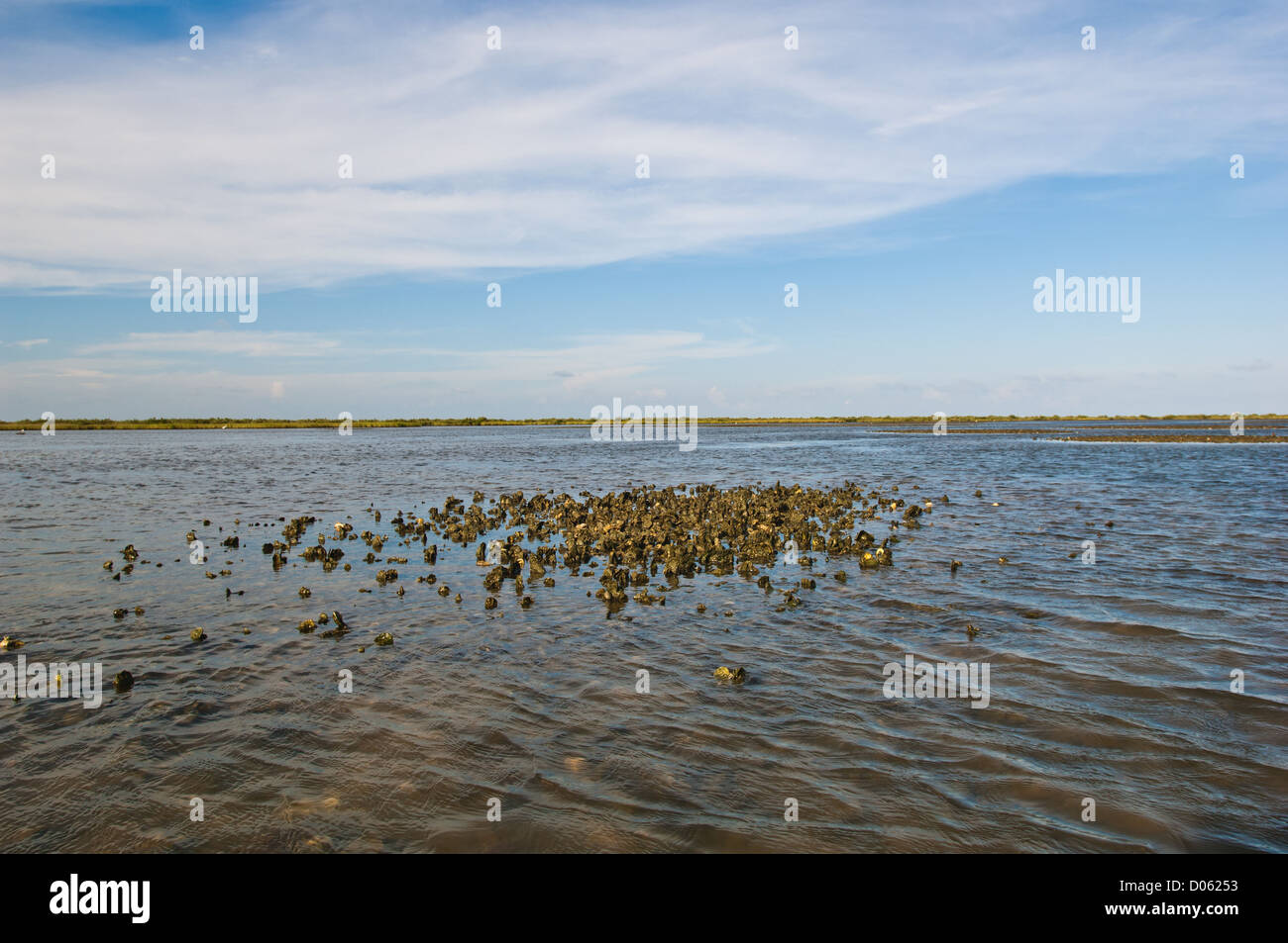 A low tide oyster bar in Redfish Bay, Port Aransas Texas Stock Photo ...