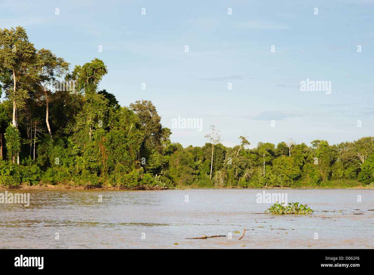 Kinabatangan River, Sabah, Borneo Stock Photo - Alamy