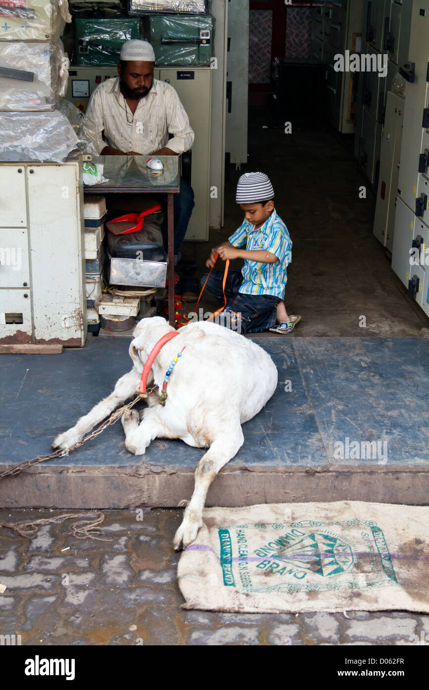 Typical Everyday Life in the Streets of Mumbai, India Stock Photo - Alamy