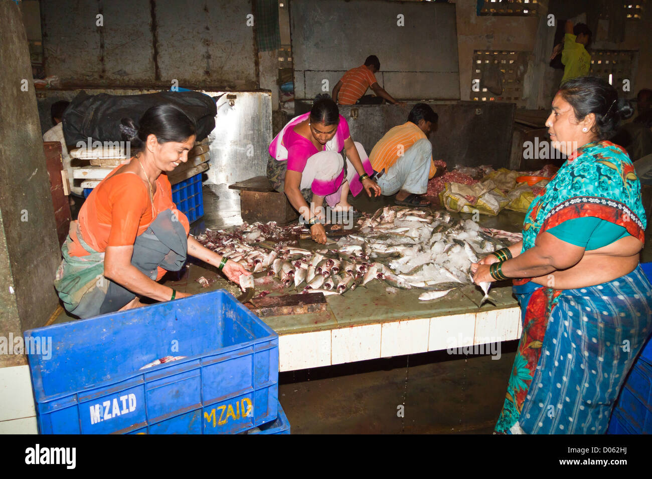 Scenery in a Fish Market Hall in Mumbai, India Stock Photo - Alamy
