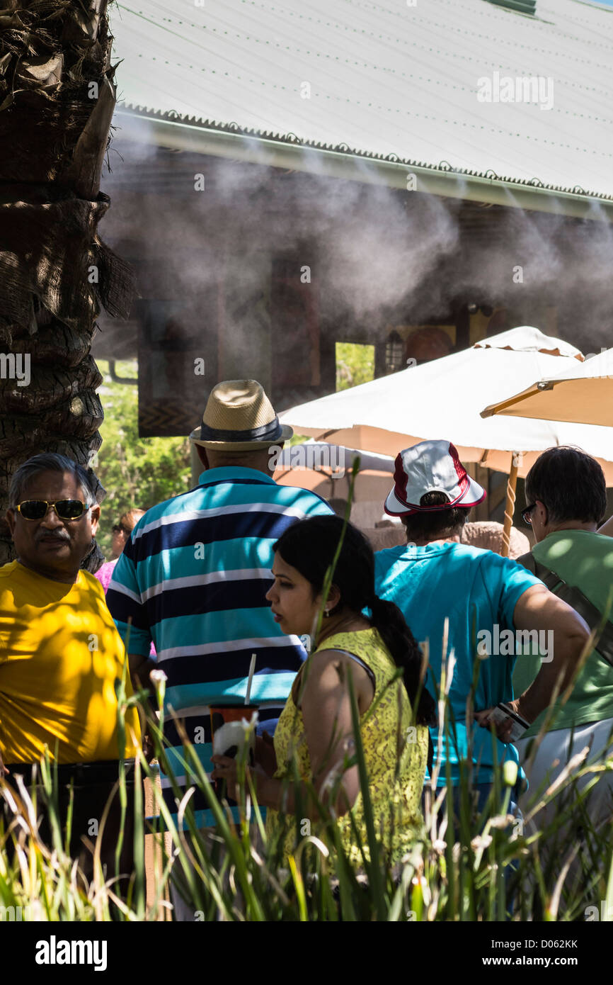 Safari Train High Resolution Stock Photography and Images - Alamy