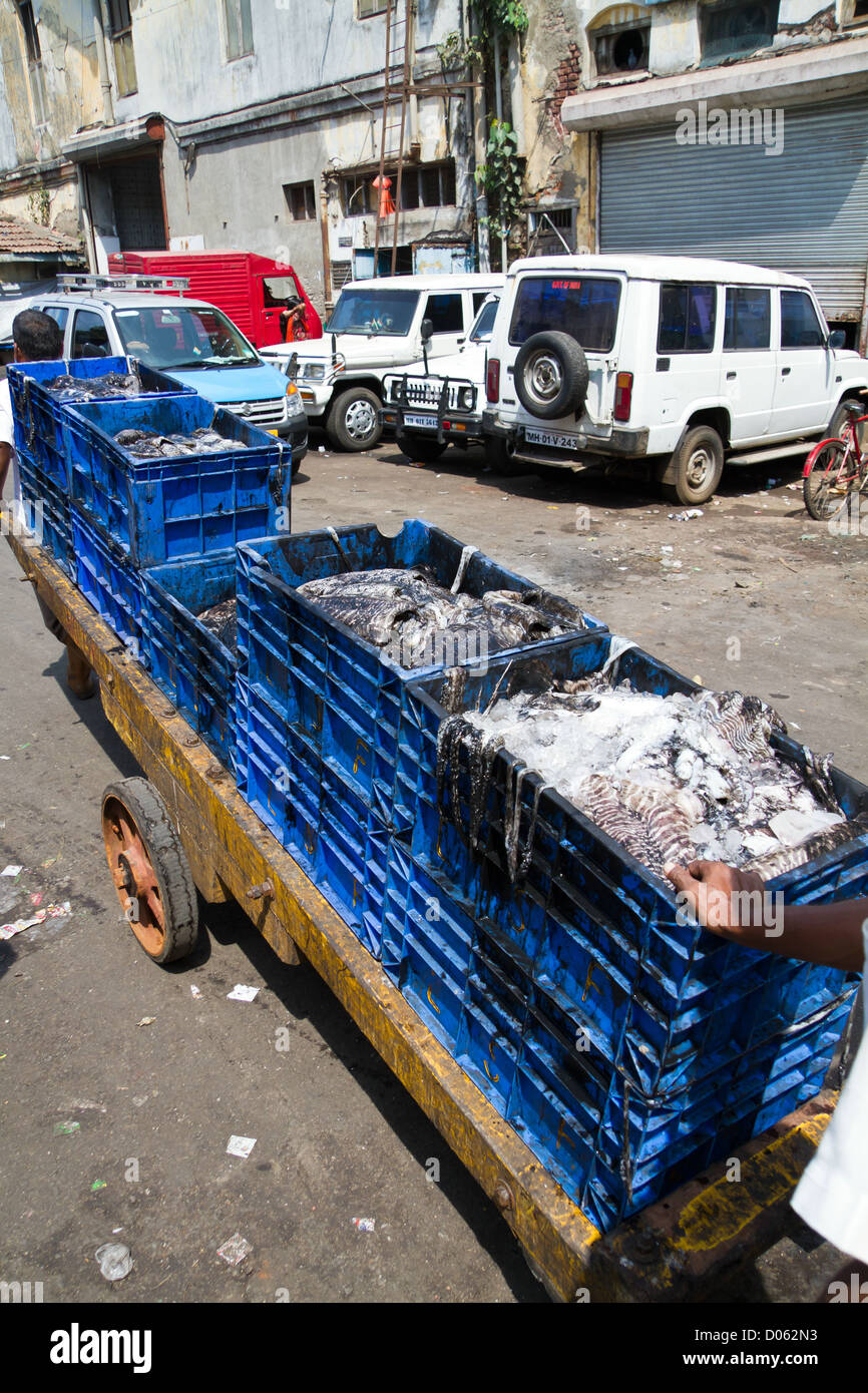 Cart loaded with Fish on a Fish Market in Mumbai, India Stock Photo - Alamy