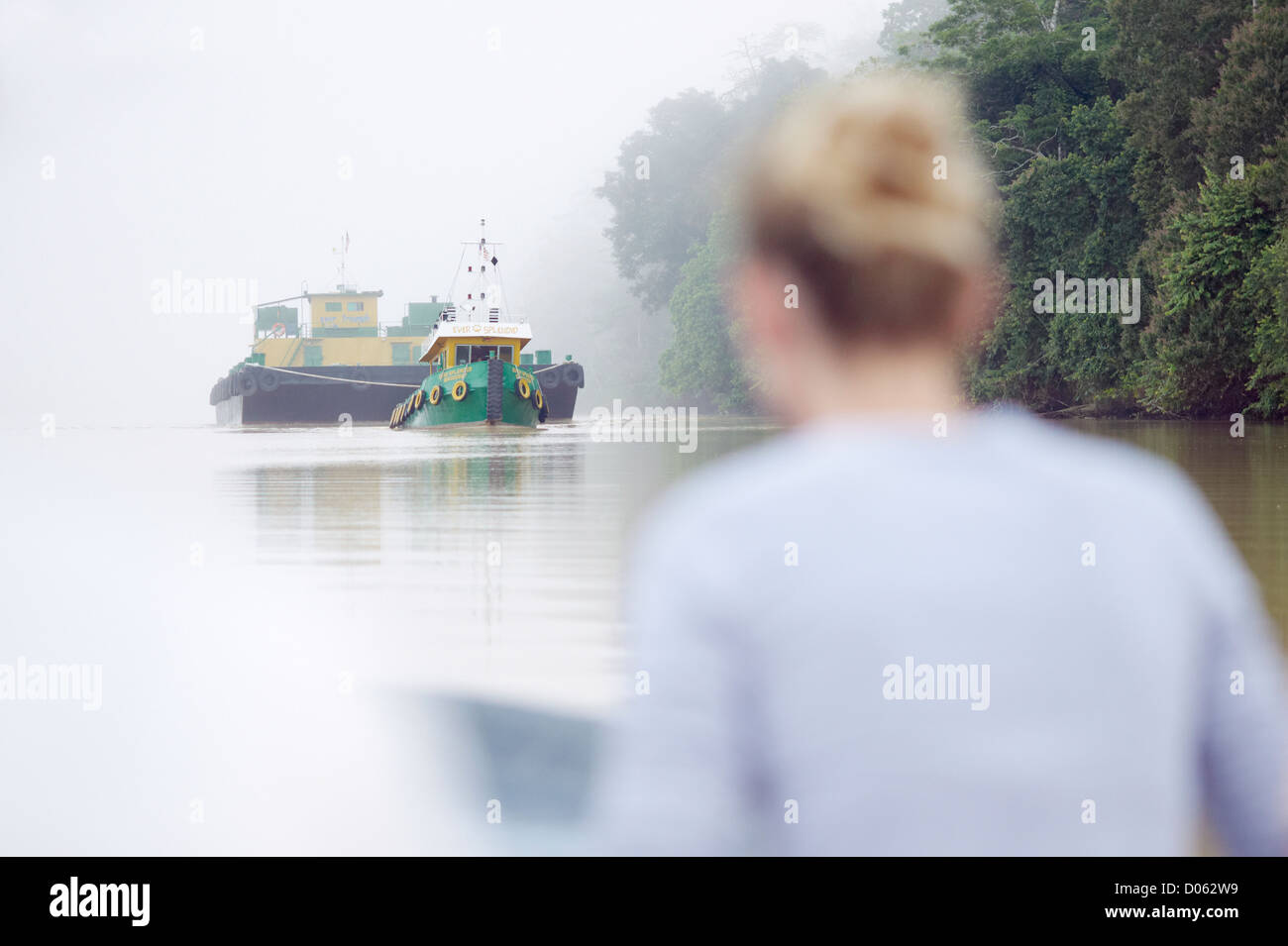 Tourist watching green tugboat pulling empty log barge on Kinabatangan ...