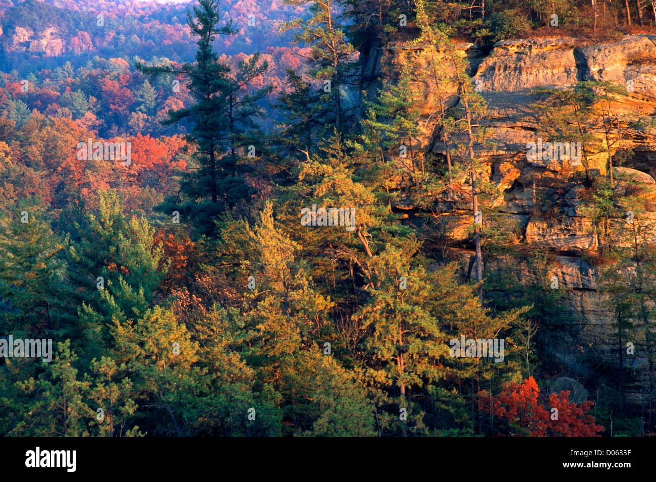 Natural Bridge State Park Kentucky Stock Photos & Natural Bridge State ...