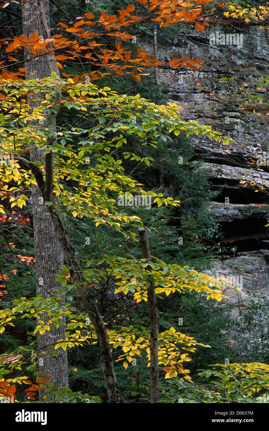 Natural bridge state park kentucky hi-res stock photography and images ...