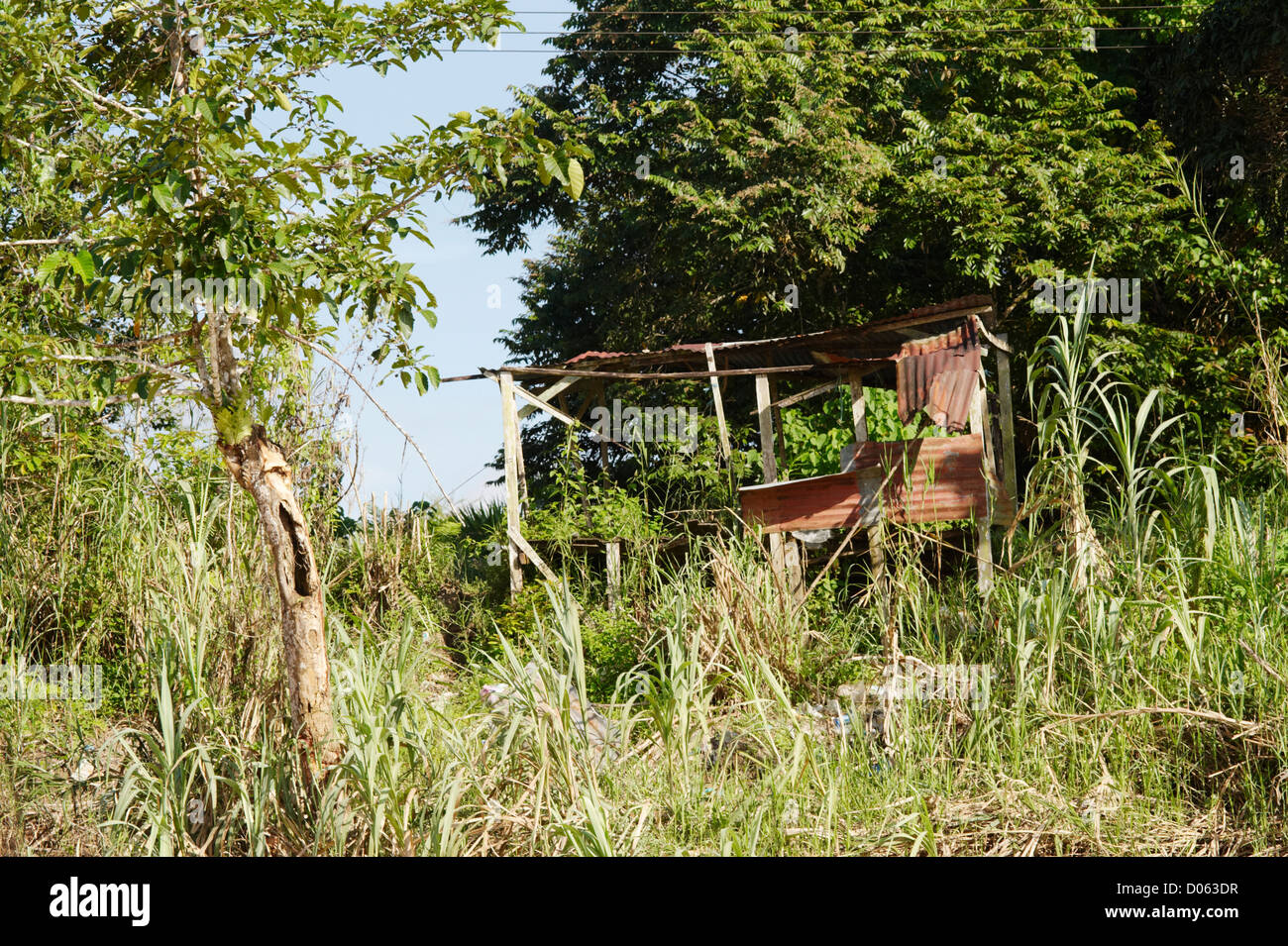 Derelict shack on banks of Kinabatangan River, Sabah, Borneo Stock ...