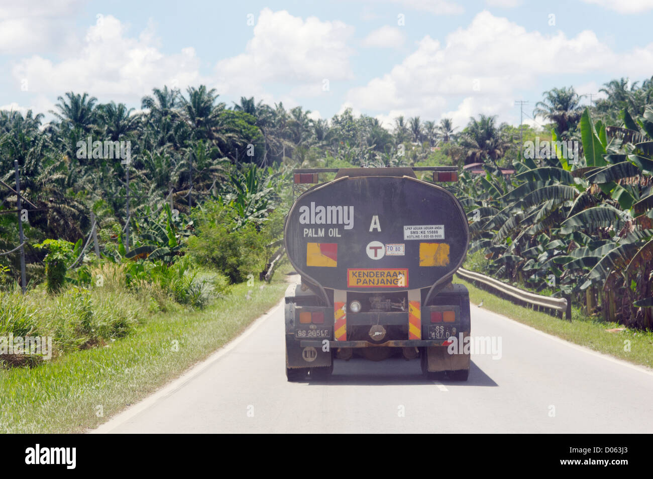Palm oil truck travelling on road through palm oil plantations, Sabah ...