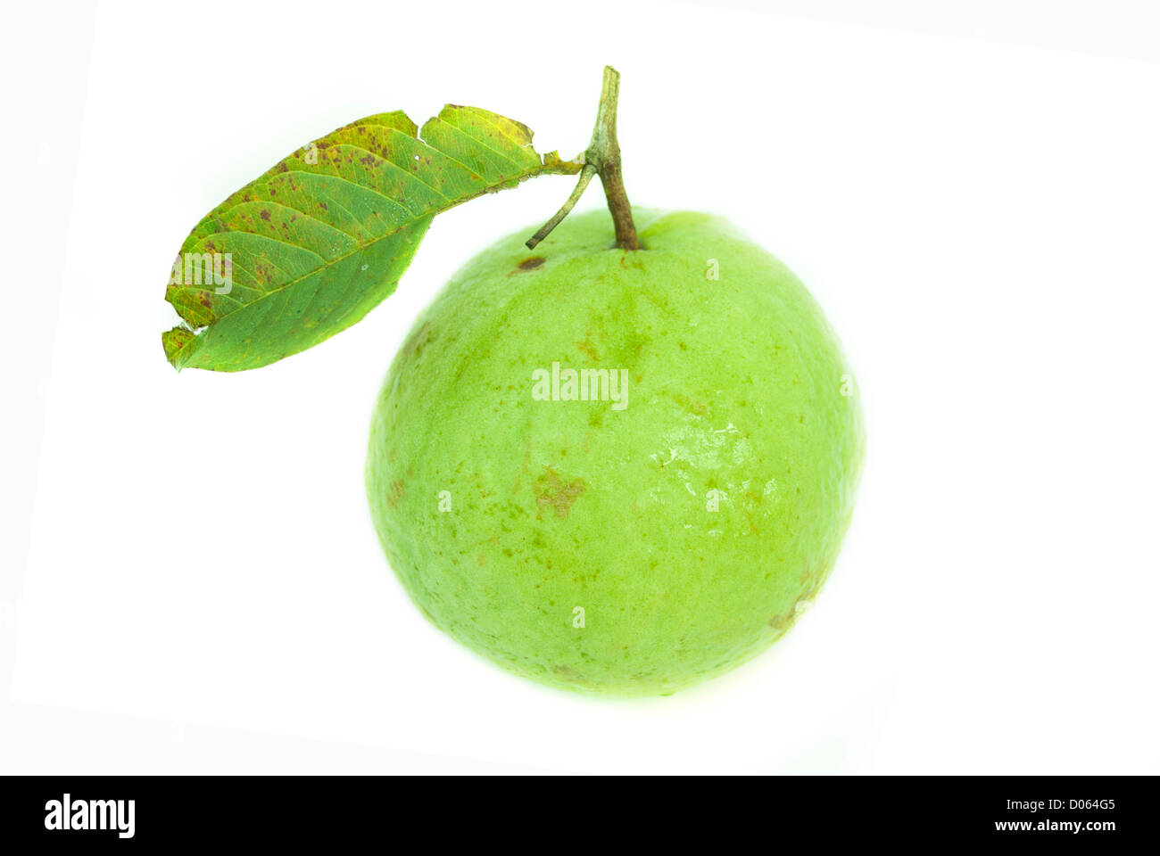 Ripe red guavas Cut Out Stock Images & Pictures - Alamy