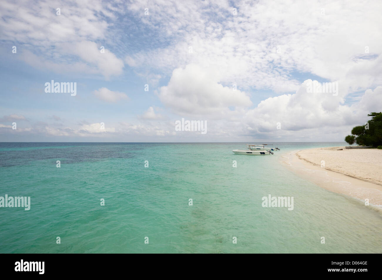 Tropical beach, Lankayan Island, Borneo Stock Photo - Alamy