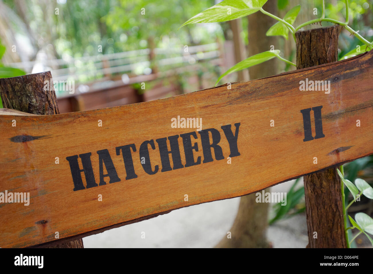 Turtle hatchery sign, Lankayan Island, Borneo Stock Photo - Alamy