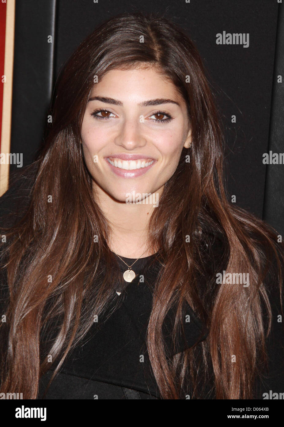 Nov. 18, 2012 - New York, New York, U.S. - Actress AMANDA SETTON ...