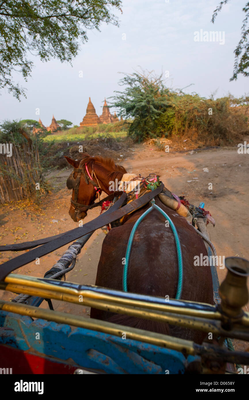 Horse cart in Bagan, Myanmar (Burma Stock Photo - Alamy