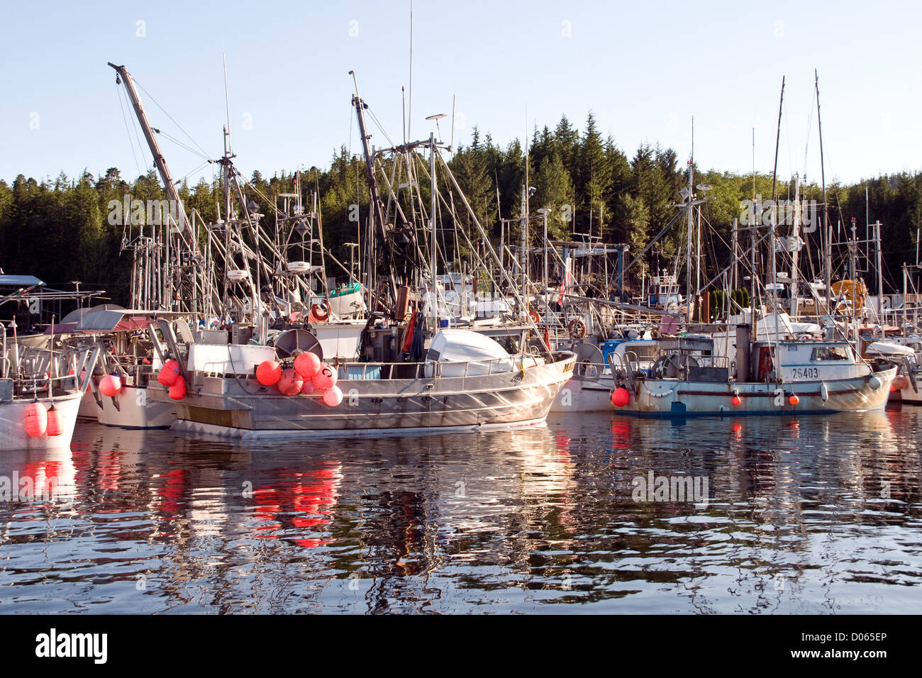 Commercial fishing boats docked in the port town of Shearwater on Denny ...
