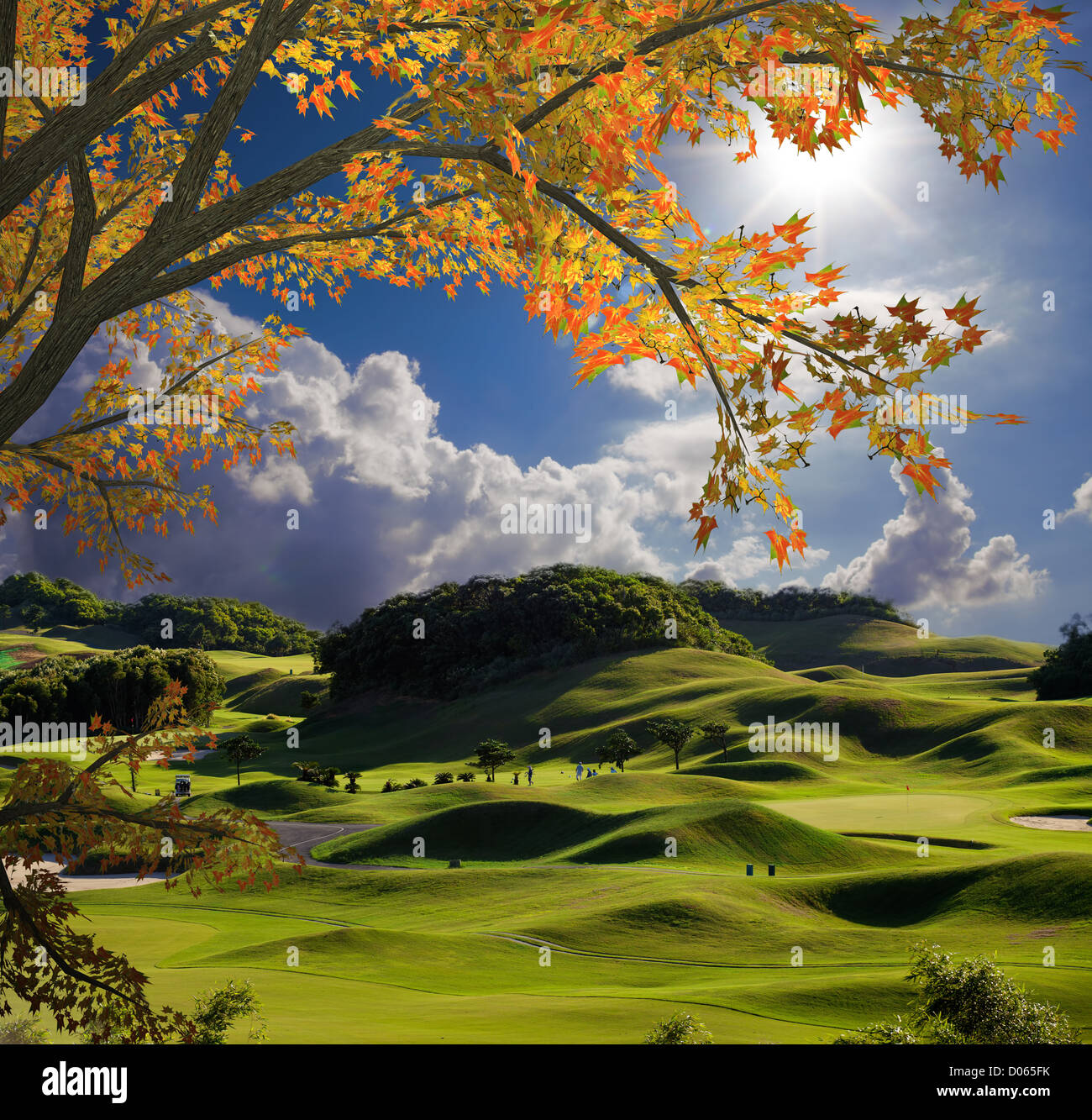 Golf field mixed with nice maple Stock Photo - Alamy