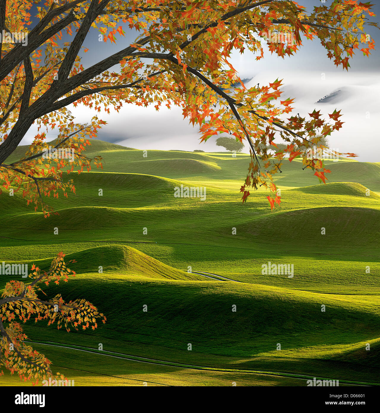 Golf field mixed with nice maple Stock Photo - Alamy